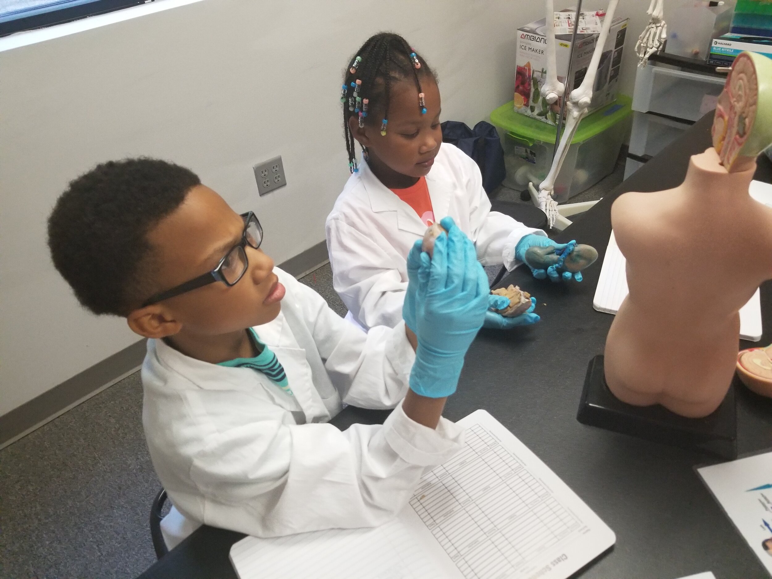 STEM EDUCATION INNOVATION LAB